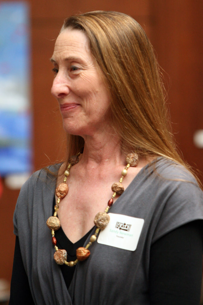 CATA: The house that Sandy built - The Berkshire Edge