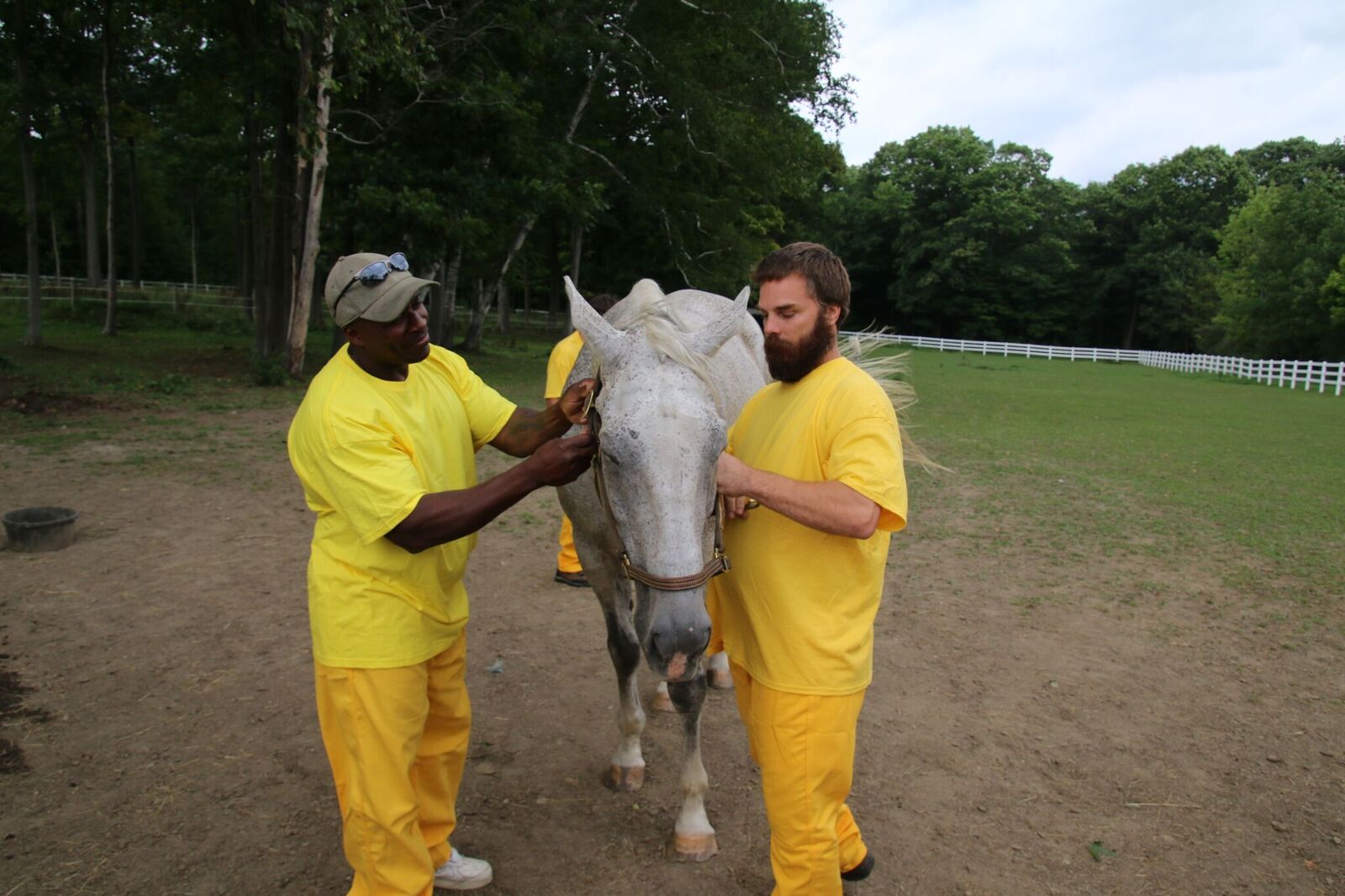 Berkshire HorseWorks: Therapeutic programs for those at risk - The ...
