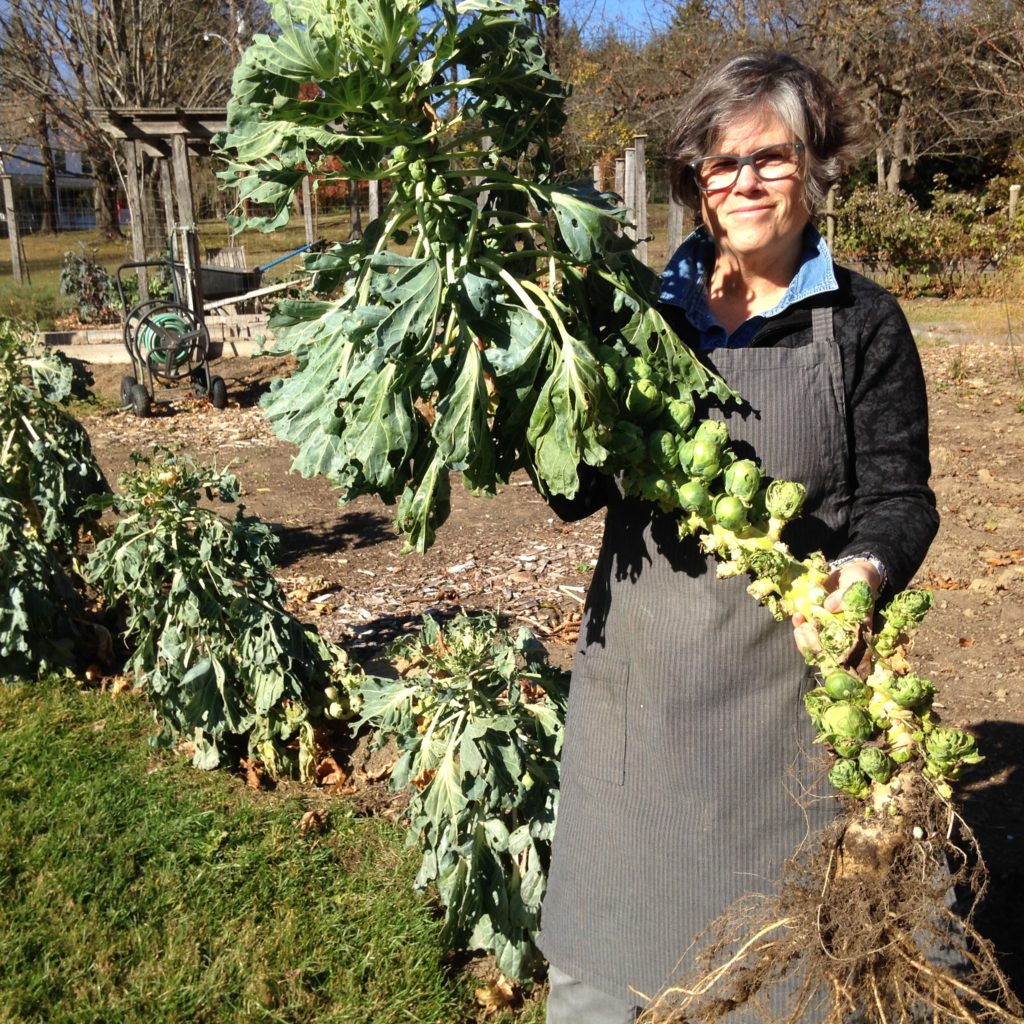 What’s Cookin’: In the kitchen with Julie Scott - The Berkshire Edge