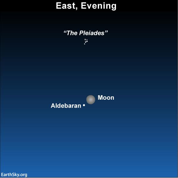 EYES TO THE SKY: See Aldebaran disappear, Long Night Moon with meteors ...