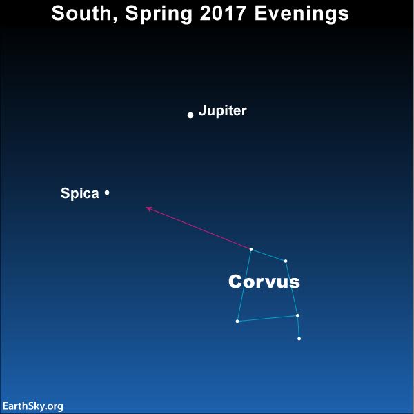 EYES TO THE SKY: Bird watcher’s spring constellation and the ...