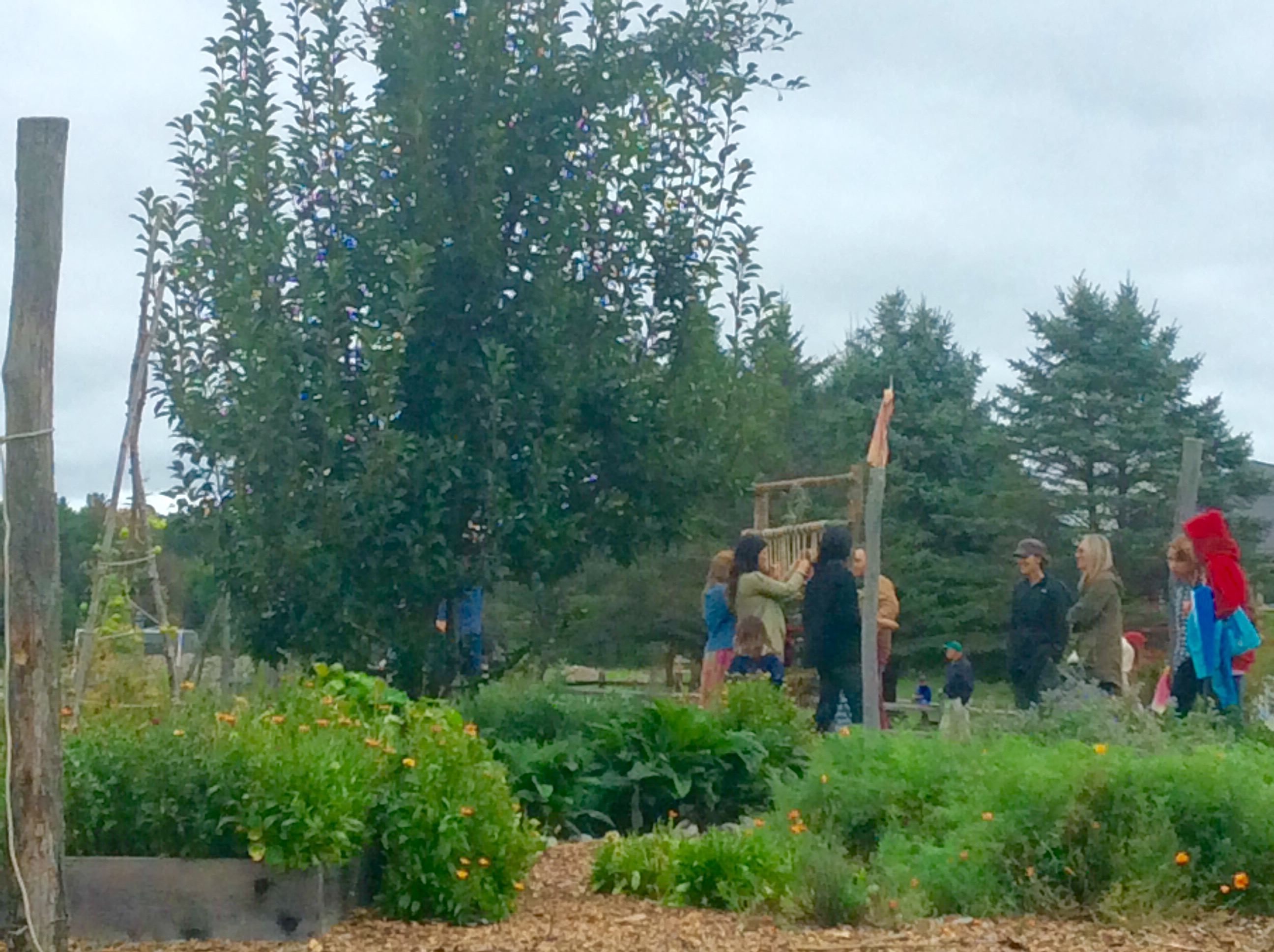 Bits & Bytes: ‘God of Carnage’ hurricane relief performance; ‘Light in ...