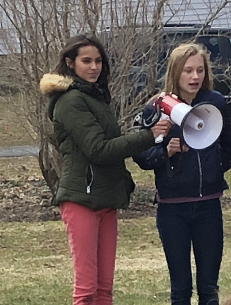 BCD joins national student walkout calling for strict gun controls ...