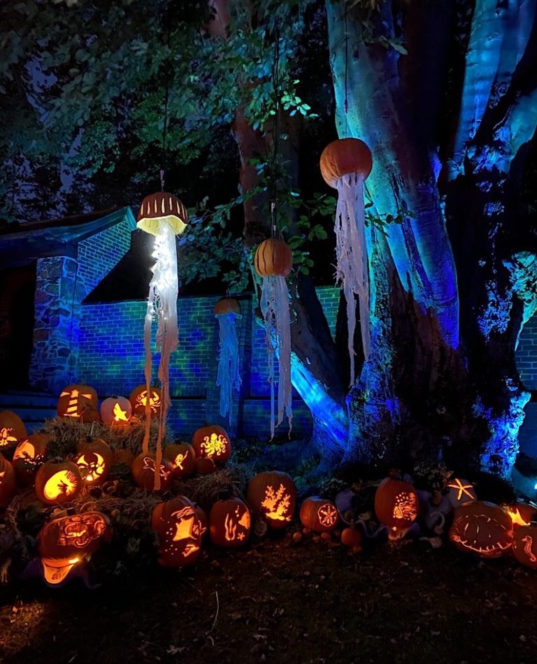 Behold the sight of Naumkeag at night with the Trustees’ Incredible ...