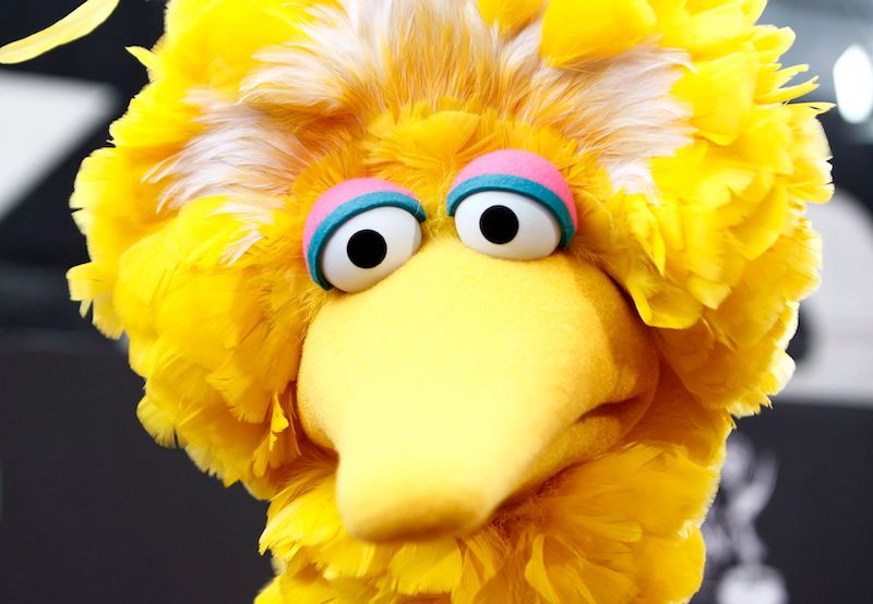 The Other Side: I'm with Big Bird - The Berkshire Edge