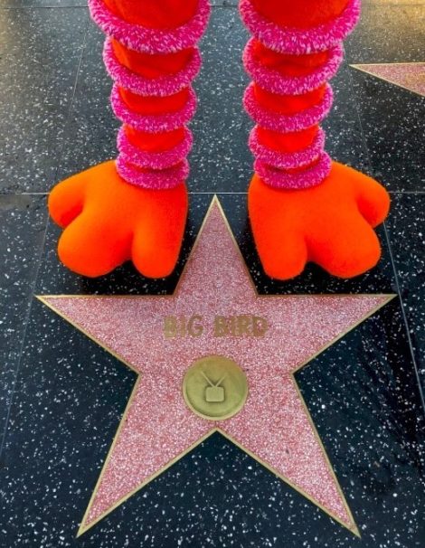 The Other Side: I'm with Big Bird - The Berkshire Edge