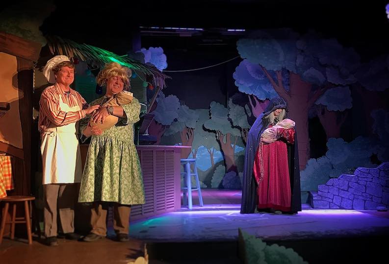 THEATER REVIEW: 'Rapunzel' is a 'well-played' panto at Ghent Playhouse ...