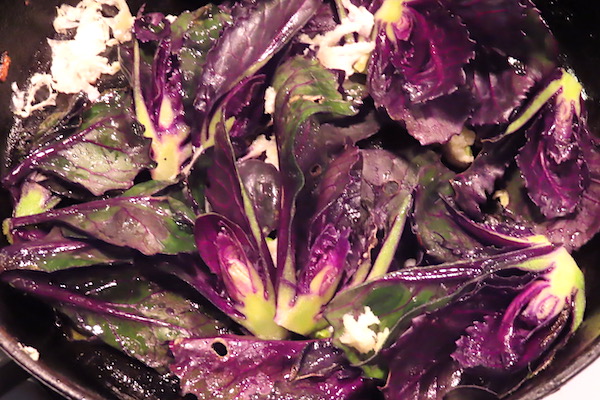 NATURE'S TURN: Native beauty nourishes the world; cabbage sprouts are a ...