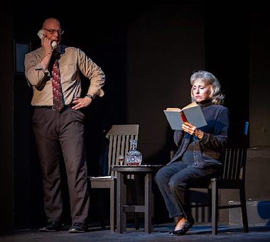 THEATER REVIEW: At Ghent Playhouse, a graphic memoir comes vividly ...
