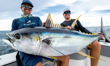 RECIPE: Lois' seared tuna birthday dinner - The Berkshire Edge