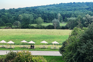 BOB LUHMANN: Do The Baldwin Farm Coddiwomple - The Berkshire Edge