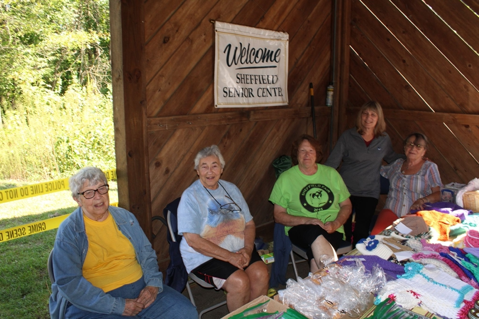 Community comes together at Sheffield Fair - The Berkshire Edge