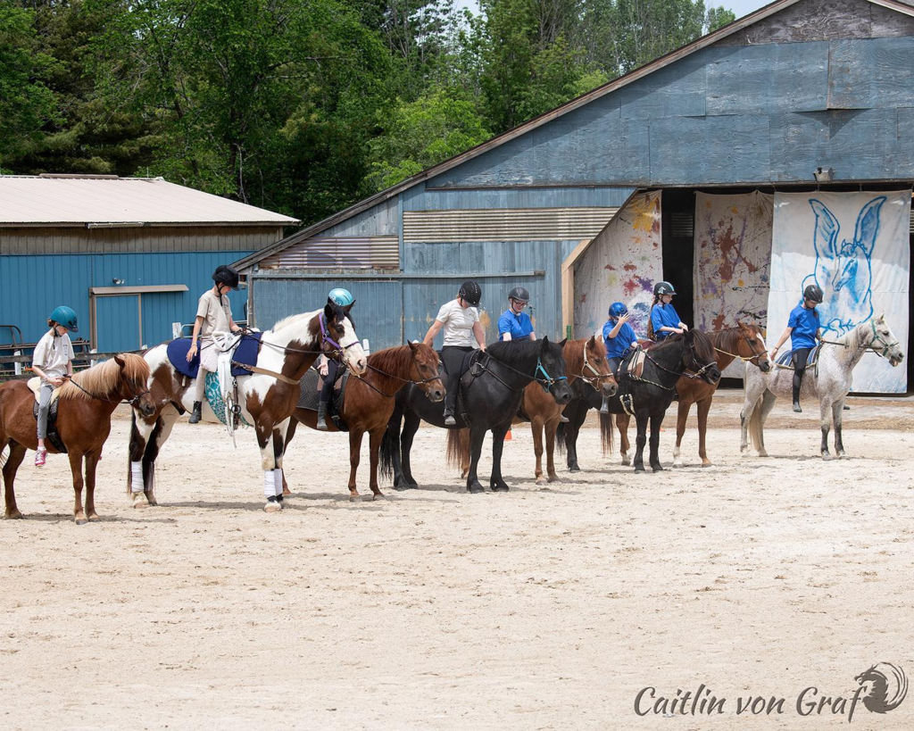 BUSINESS MONDAY: Spotlight on Blue Rider Stables Inc. - The Berkshire Edge