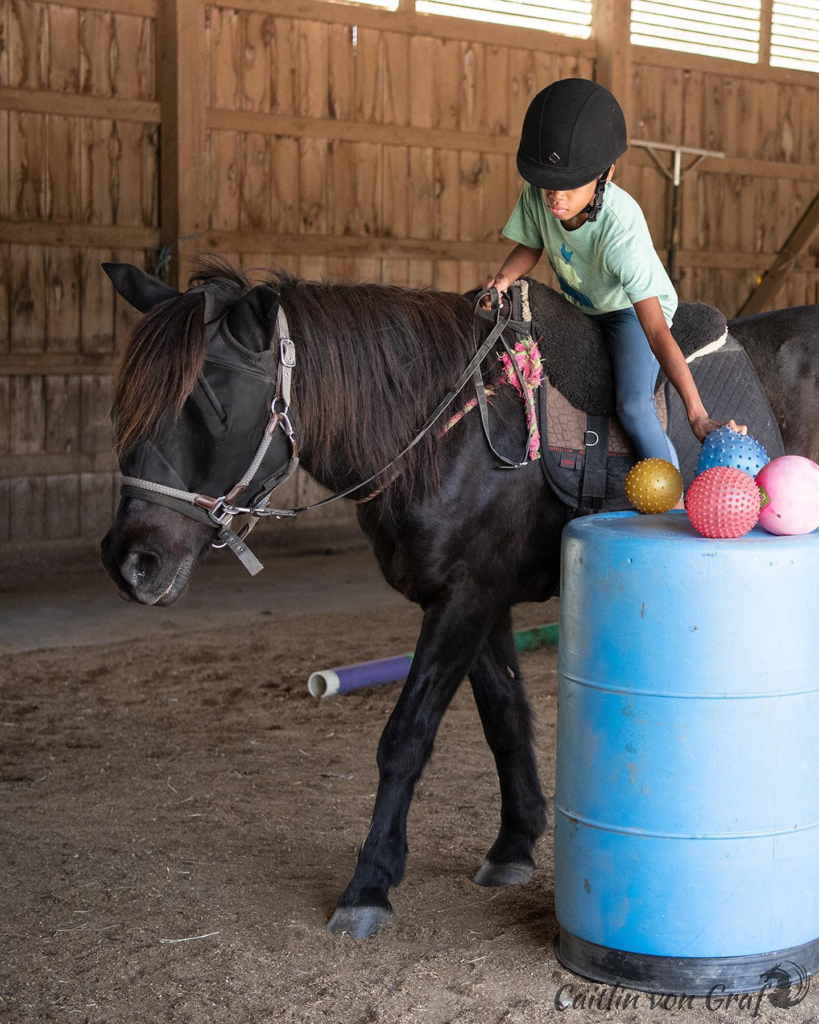 BUSINESS MONDAY: Spotlight on Blue Rider Stables Inc. - The Berkshire Edge