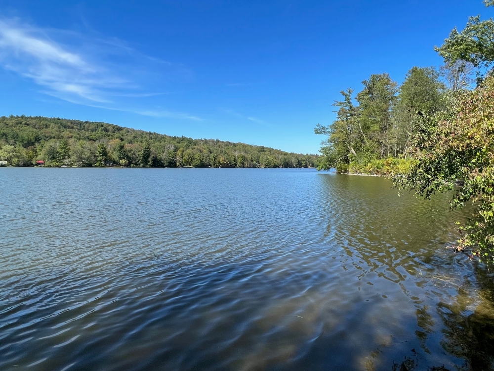 THE DEVELOPER (Part Six): A different Prospect Lake campground is ...