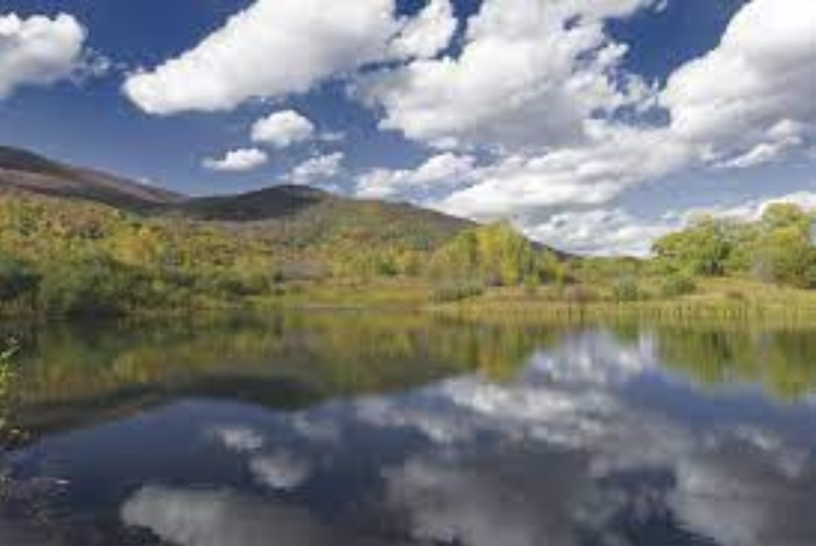 Greylock Glen project approved in Adams - The Berkshire Edge