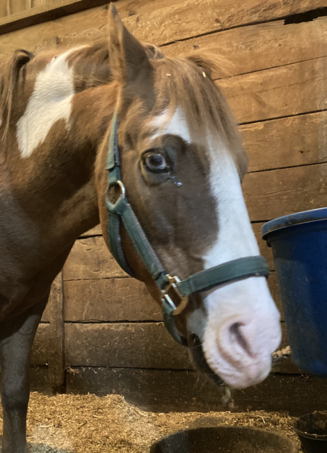 BITS & BYTES: Jude Roberts and Jon B. Woodin perform; Berkshire ...