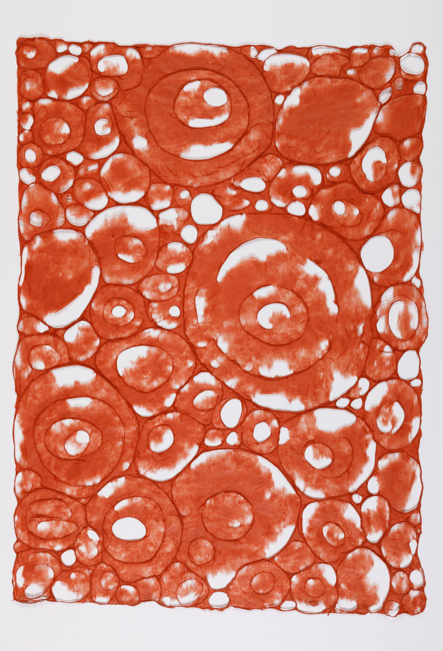 BITS & BYTES: “Nest/Emerge” exhibition opens; TapRoot Square Dance ...