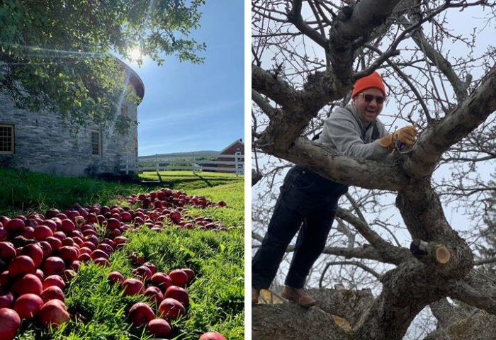 BITS & BYTES: New MASS MoCA exhibit 'Sphinx'; LGBTQ+ Northern Lights ...