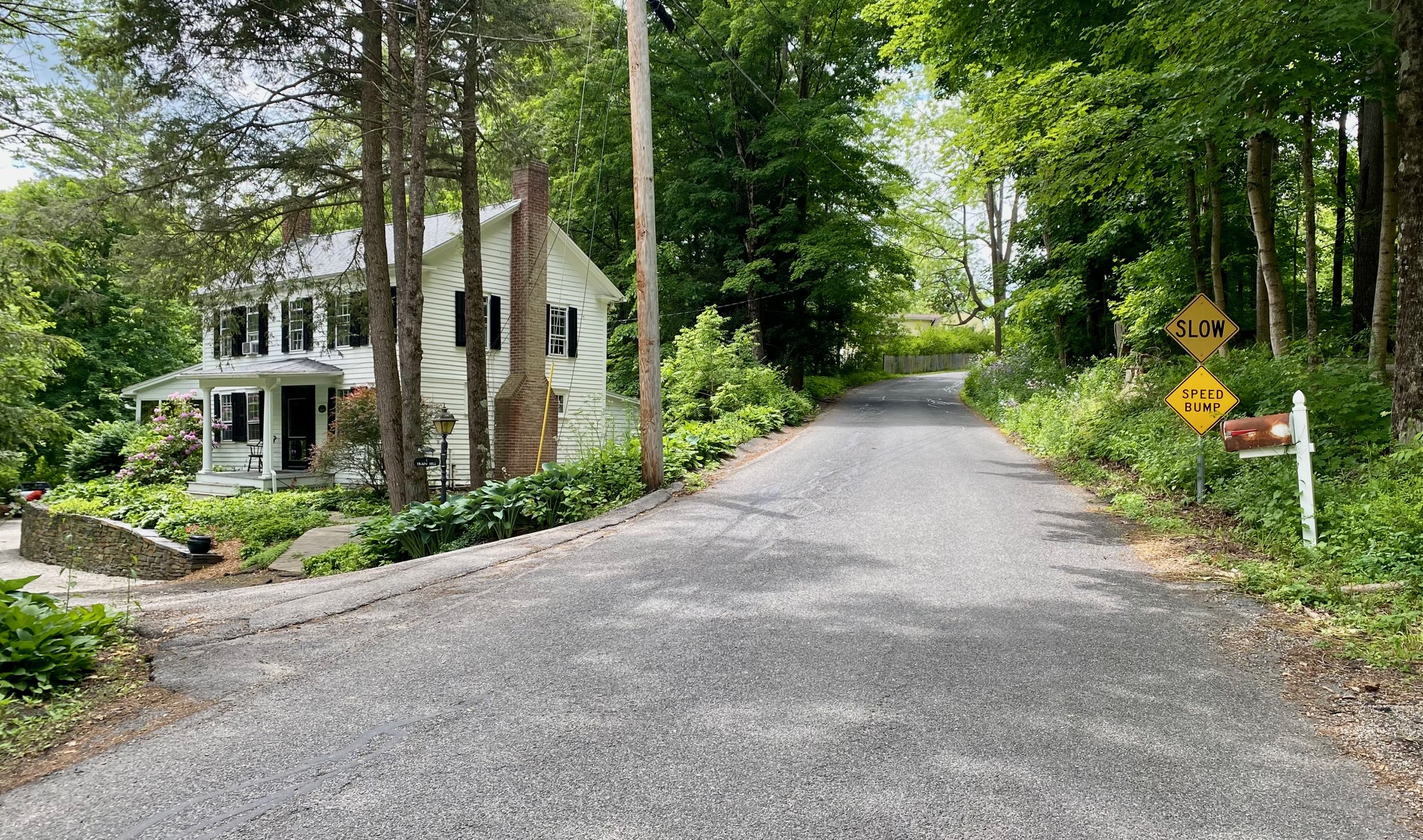 Speed bumps on Stockbridge’s Train Hill Road to be removed with ...