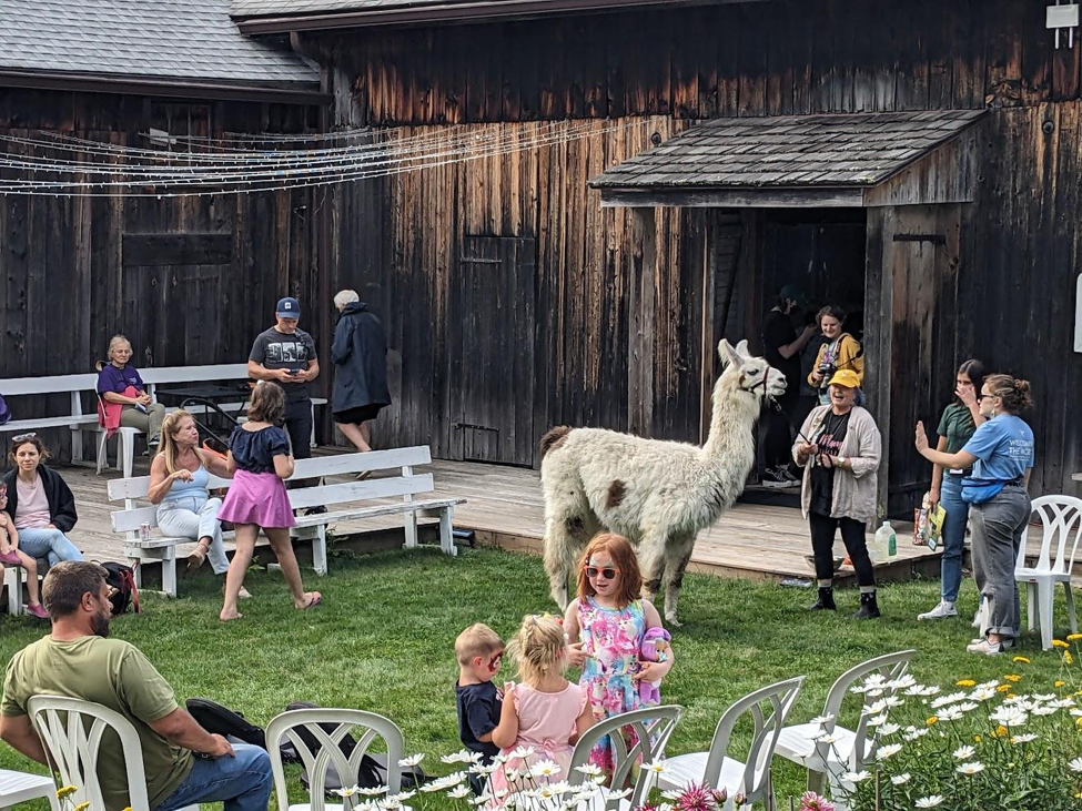 Jacob's Pillow celebrates community - The Berkshire Edge