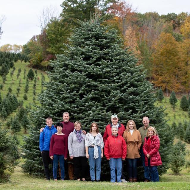 BUSINESS MONDAY: Spotlight on Seekonk Tree Farm—growing sustainably ...
